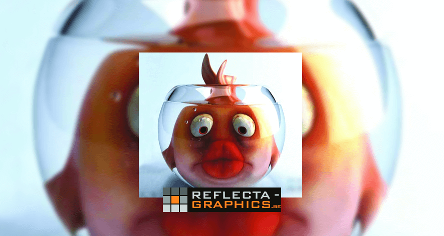Reflecta Graphics | Dataline Solutions