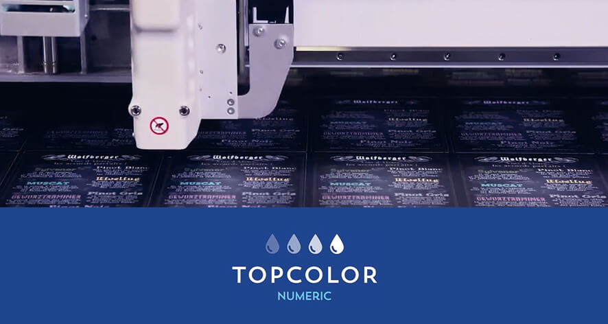 Topcolor numéric | Dataline Solutions